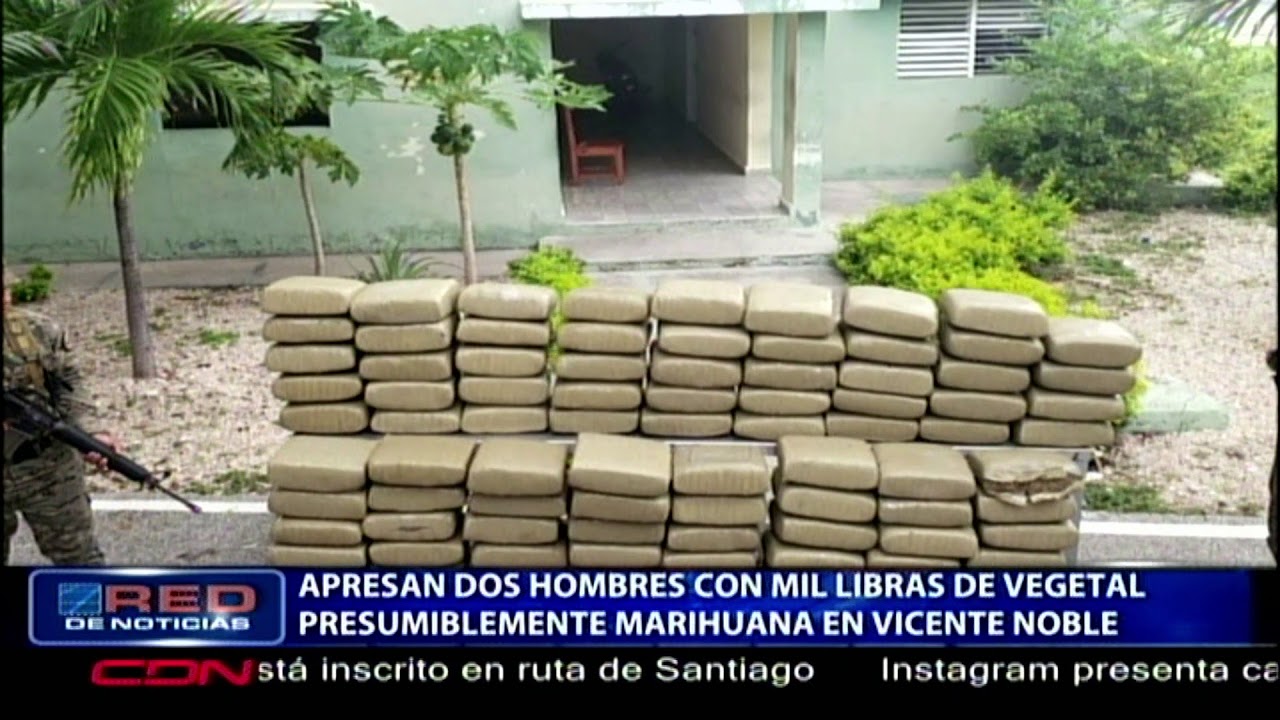 Apresan dos hombres con mil libras de vegetal presumiblemente marihuana en Vicente Noble
