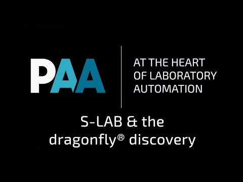 02 SLAB Dragonfly-Preset MP4.mp4
