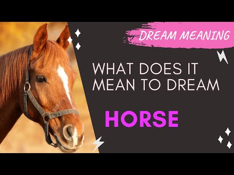 MEANING OF DREAM HORSE : Interpretation & Symbolism