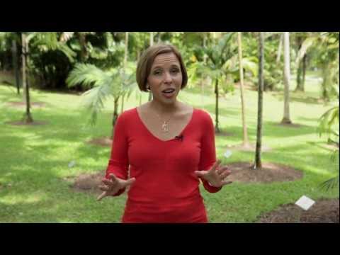 Free Pronunciation Short Course