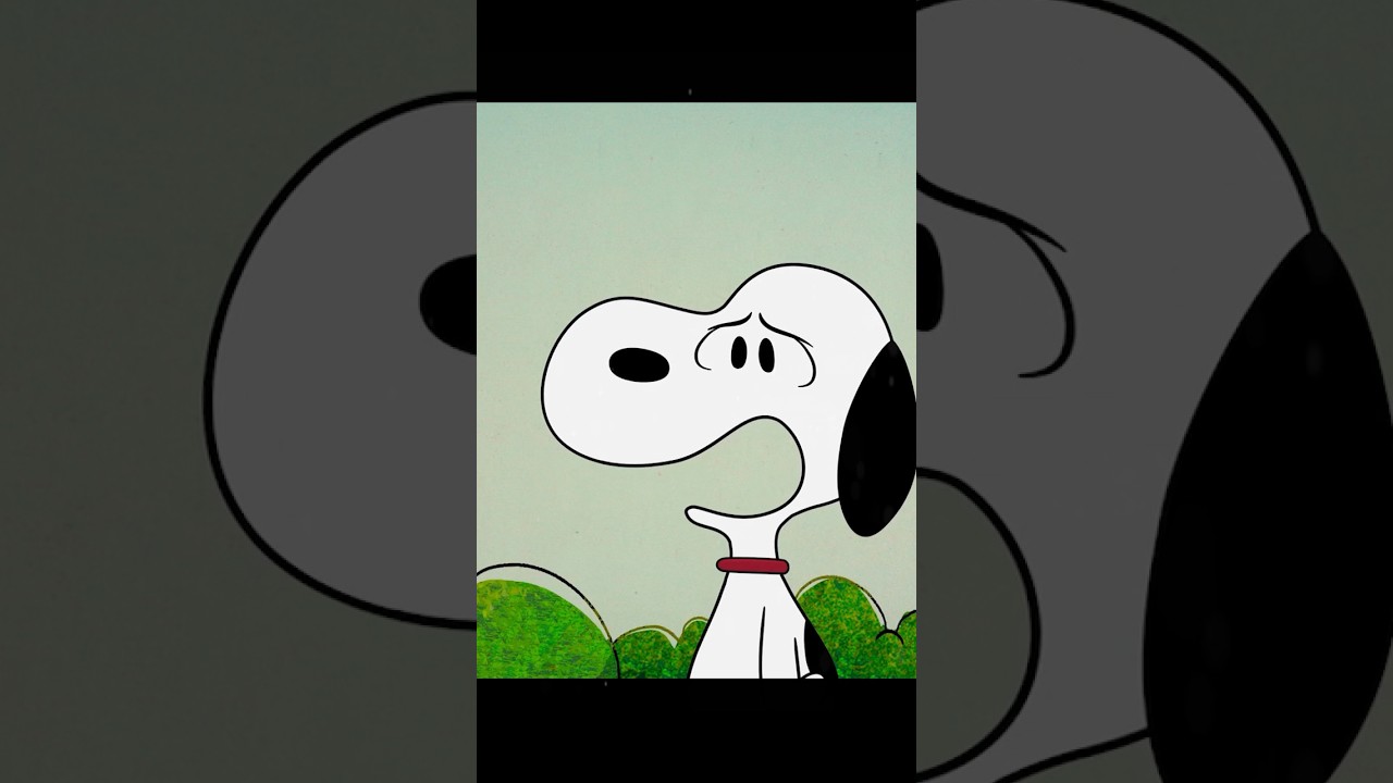 Snoopy wants to prepare a surprise for his friends#cartoon #movie #video #shorts #viralvideo#foryou