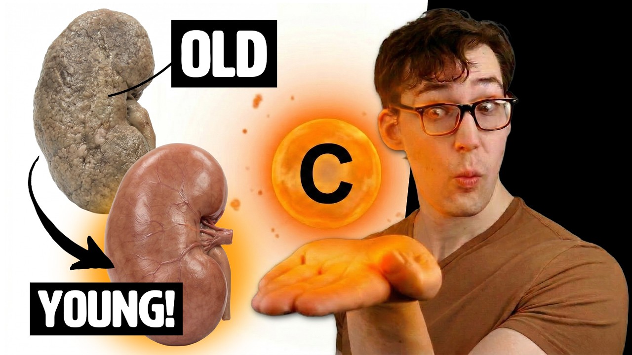 Reversing 'Ferro-Aging' using a Citrus Molecule - Huge New Study!