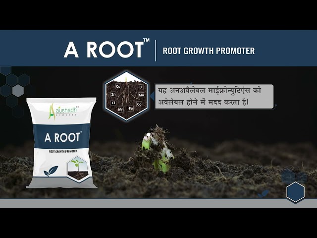 Plant Nutrient - Root Growth Promoter Manufacturer from Ahmedabad
