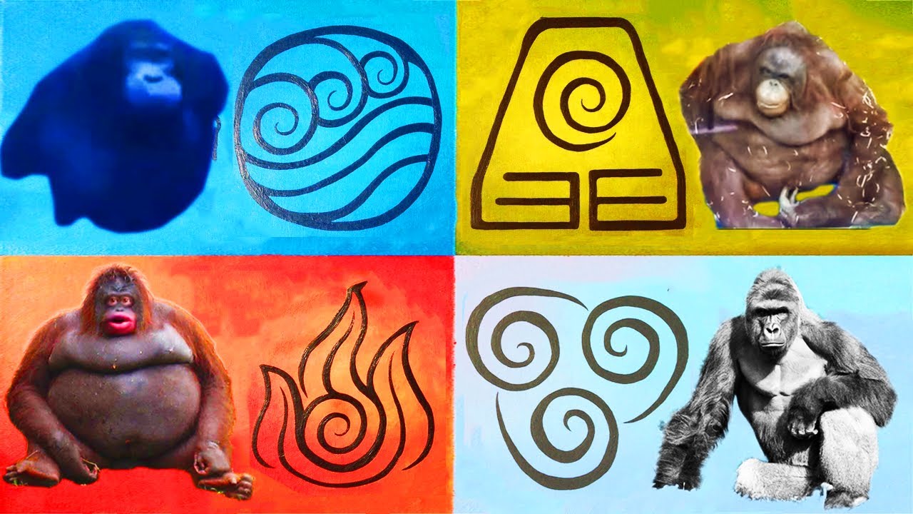 The Four Elements Of Monke