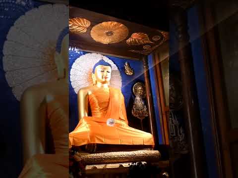 #day6 MAHABODHI TEMPLE BODHGAYA #buddha #temple #mahabodhitemple #latest #bihar #bihartourism
