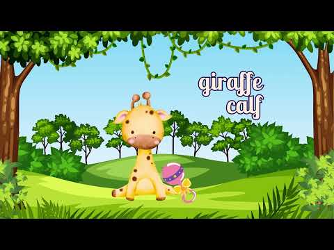 What Are Baby Animals Called?