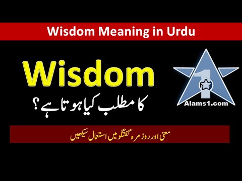 WISDOM Meaning in Urdu/Hindi | Wisdom ka Matlab Kya Hota Hai | Eng to Urdu Vocabulary