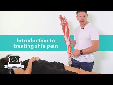 Introduction to treating shin pain