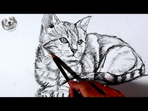 How to Draw a Realistic Cat with Just One Pencil ✏️ | Easy Art Tutorial
