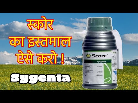 Syngenta Fungicides - Latest Price, Dealers & Retailers in India