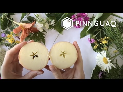 Part 1: Symmetry in Nature
