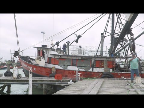 High fuel prices have Texas shrimping industry at virtual standstill