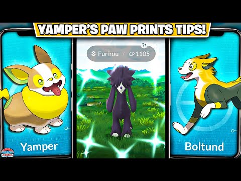 Top Tips for the Paw Print Event! Yamper DEBUT + Shiny Furfrou