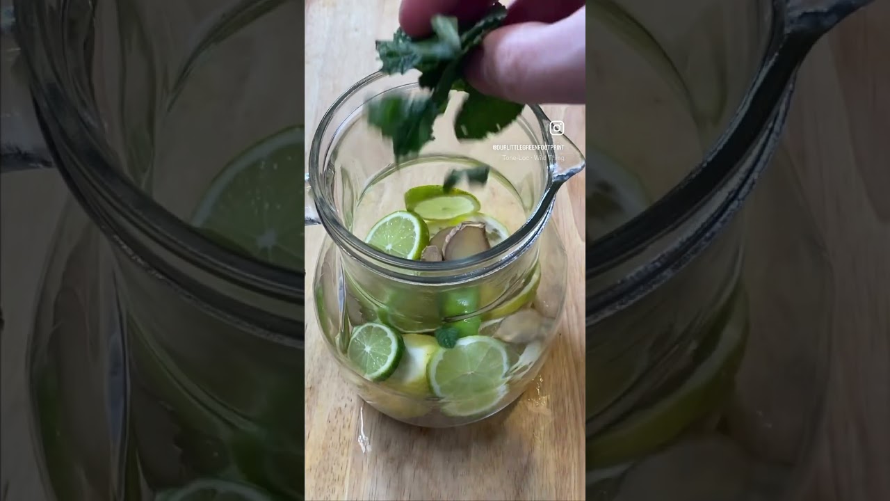 Refreshing Lemon Lime Ginger Mint and Cider Vinegar Water Recipe