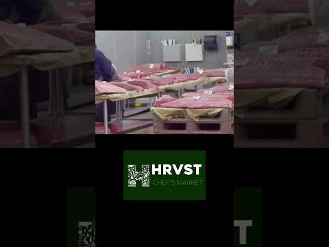 Ep. 2: HRVST Preferred Vendor, Yama Seafood Has Delivered the Best Seafood to Chefs Since 1977