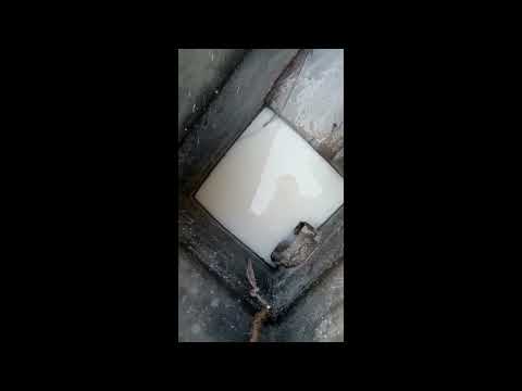 MGF, IRF, ACF - Mgf And Acf Filters Manufacturer from New Delhi