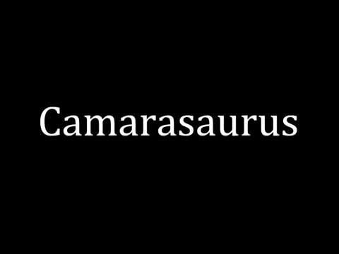 How to pronounce Camarasaurus