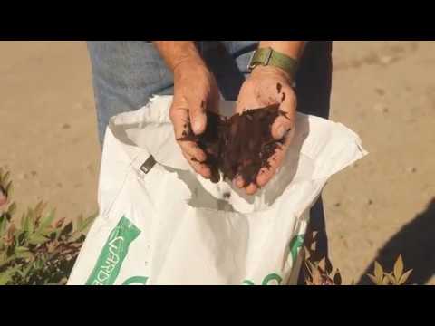 Mulching Matters Pick the Right Mulch for Your Landscape