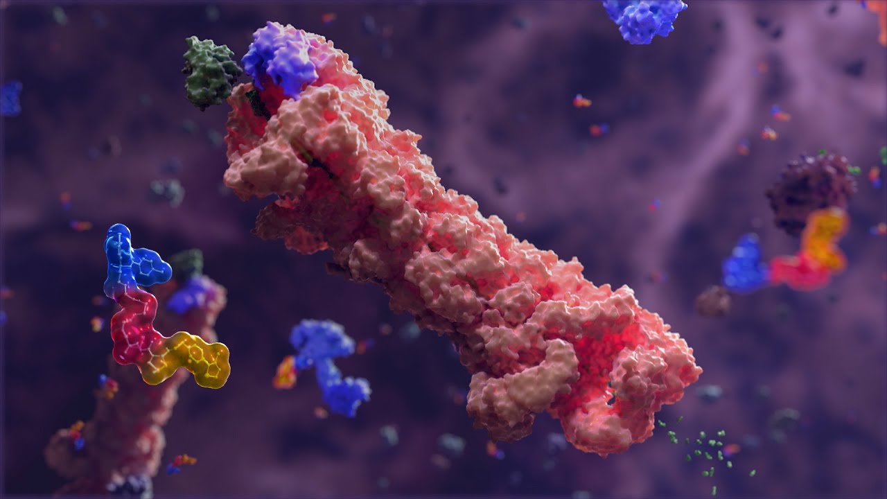 Targeted Protein Degradation | MOA Animation