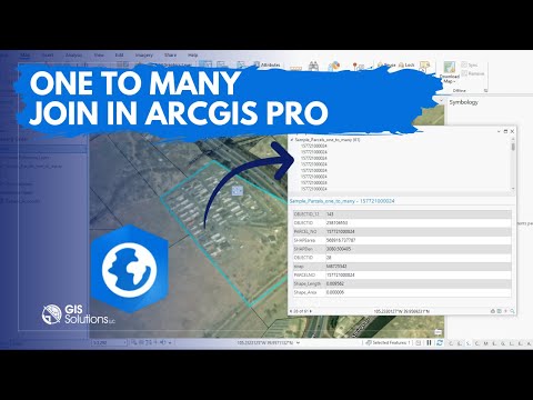 ArcGIS Pro One To Many Join