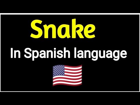 How To Say " Snake " In Spanish language . Spanish vocabulary practice .