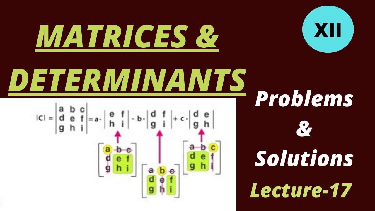 Matrices & Determinants L17 || Class-12 || CHSE || Exercise-5(a) Q. No. 11 to 17 ||