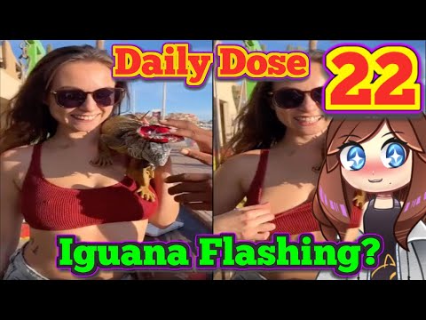 I'm Drunk and Scuffed: Daily Dose of Internet 22 Vtuber Reaction