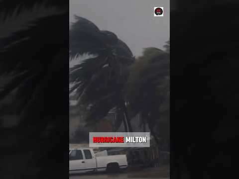 Hurricane Milton: Florida Braces for Devastating Category 4 Storm with 145 mph Winds.