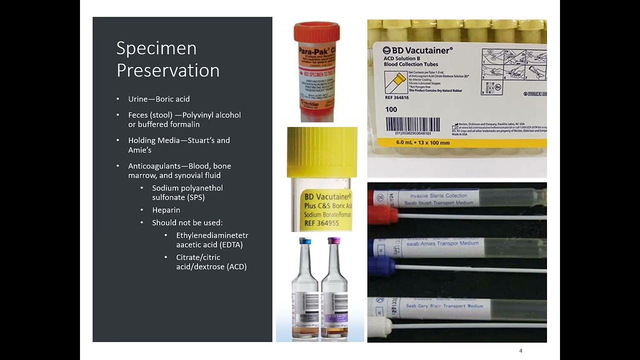 Clinical Microbiology Specimens Lecture