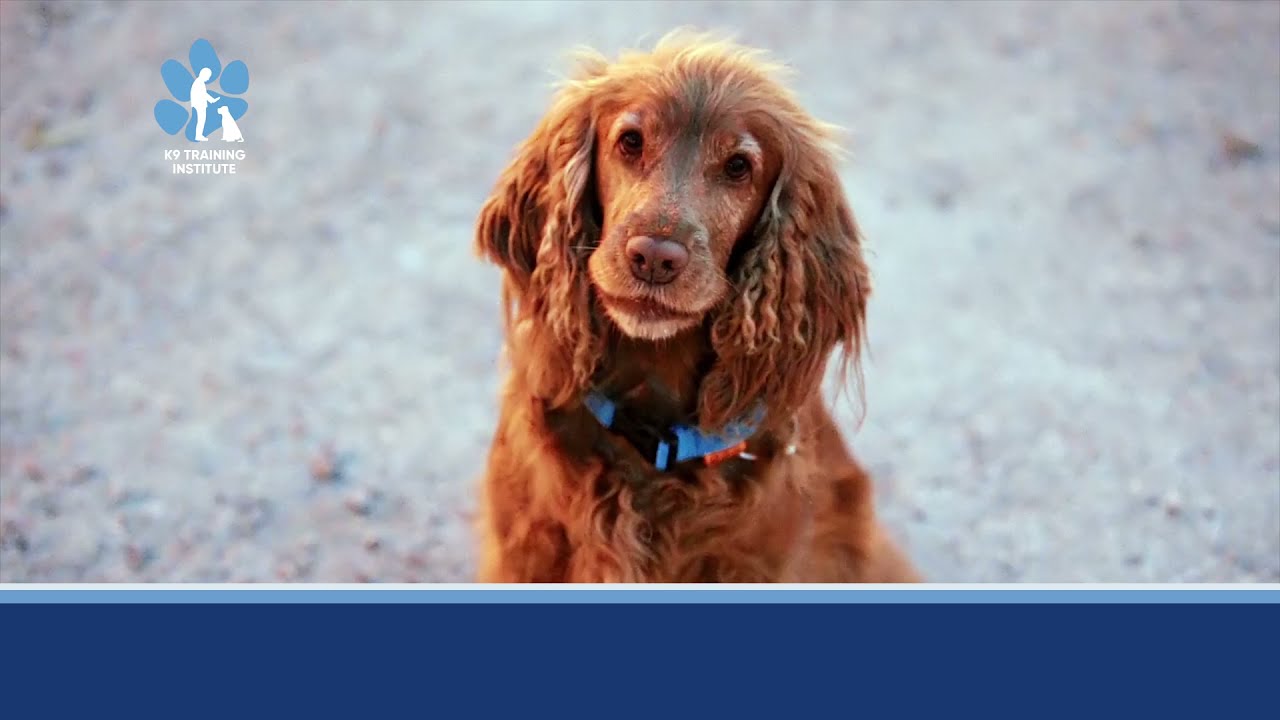 Free Workshop - short version