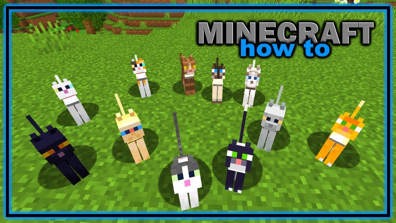 Everything You Need to Know About Cats in Minecraft! | Easy Minecraft Mob Guide