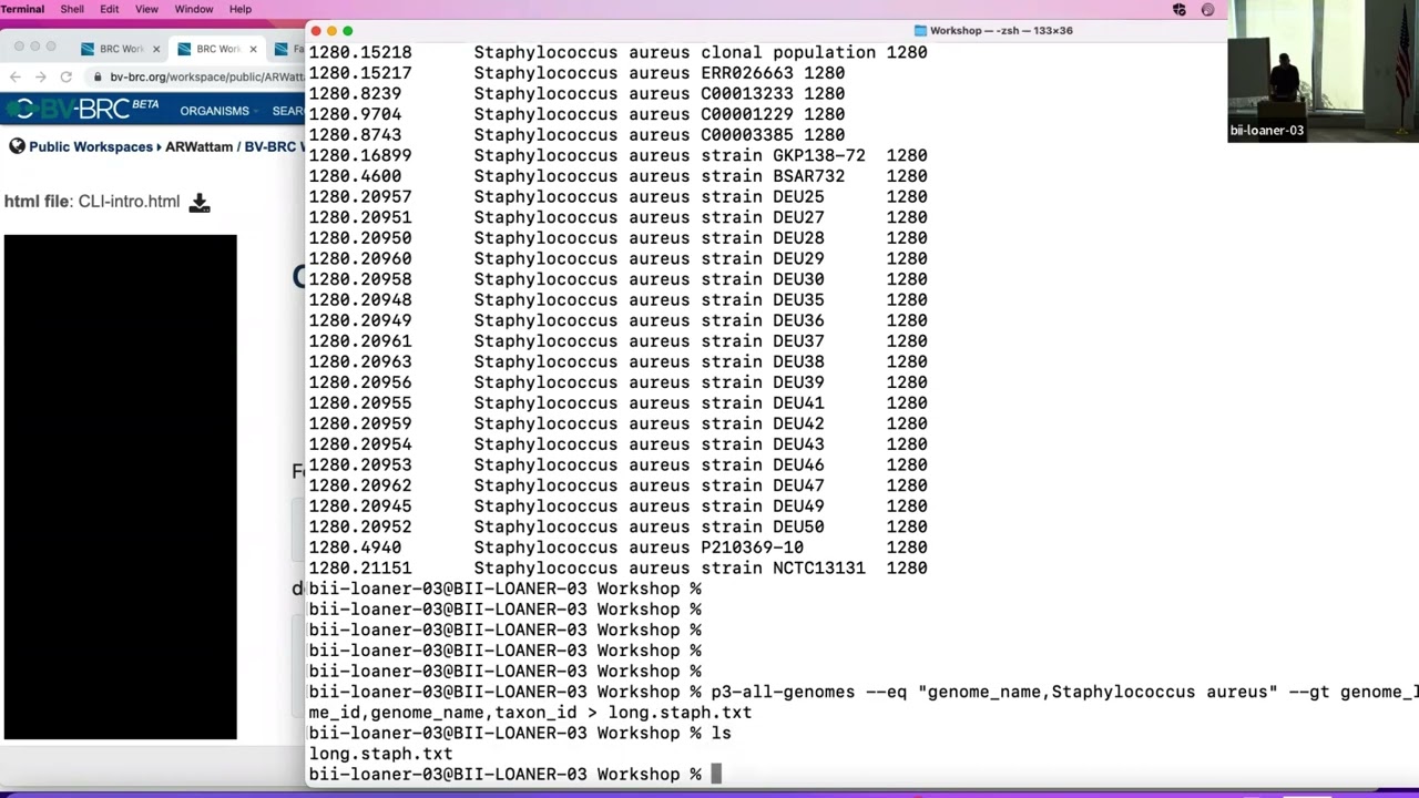 Command Line Interface Overview