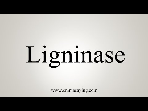 How To Say Ligninase