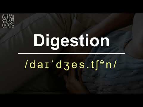 How to pronounce the word "Digestion"
