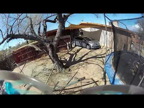 Rotor Riot Vision40 40mm HD 1S. Cinewhoop backyard practice.