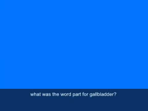 38 Chapter 09 Part 01 Word Parts