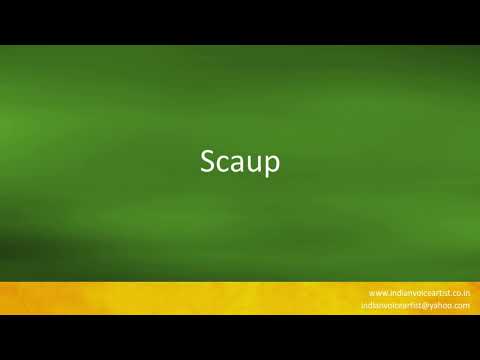 How to pronounce "Scaup".