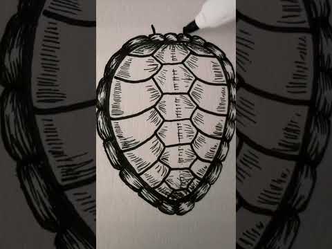 How to draw a sea turtle!