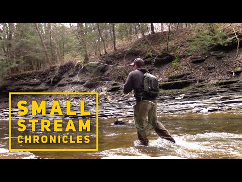 Small Stream Fly Fishing on an AWESOME Budget 1wt Rod