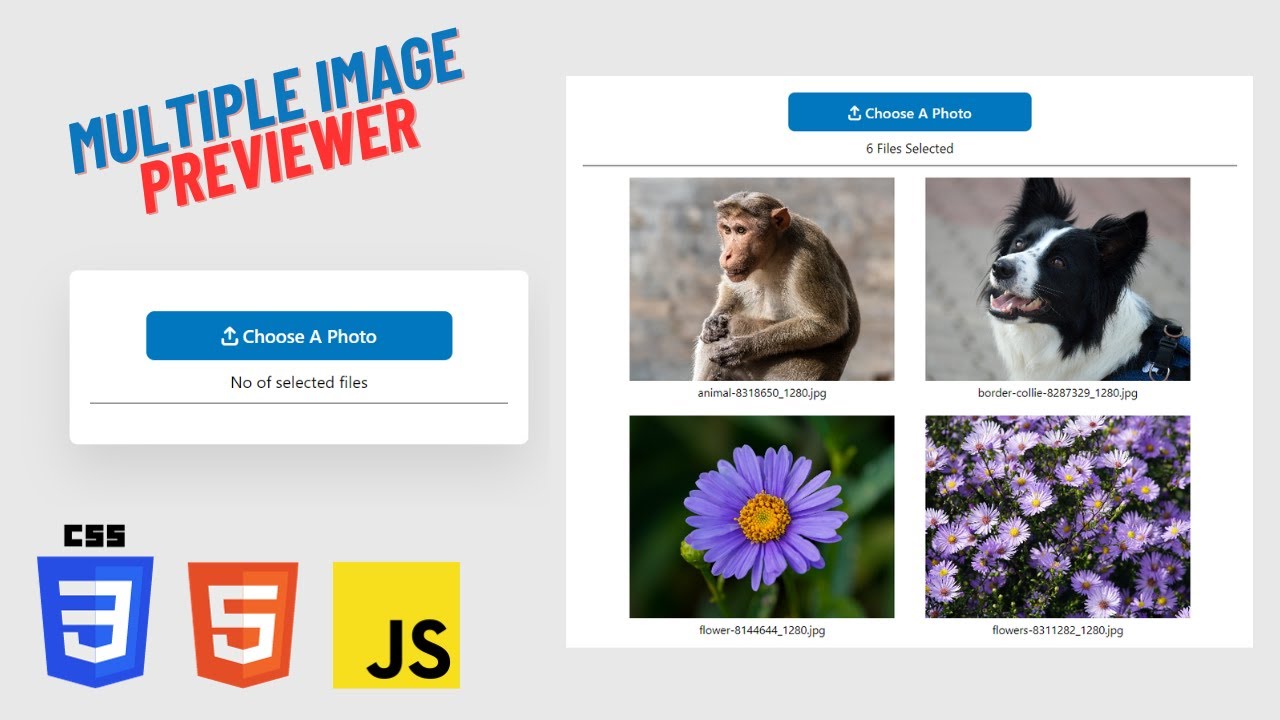 How to create Multiple image previewer using html CSS and JavaScript step by step