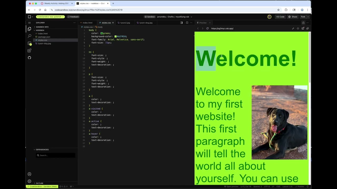 CSS Basics & CodeSandbox.io