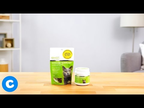 Tomlyn Immune Support L-Lysine Supplements | Chewy