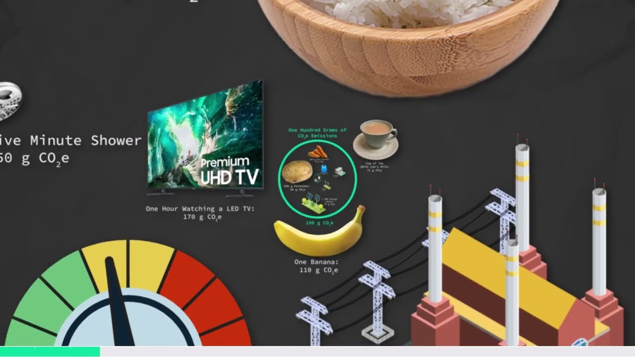 The Carbon Footprint Of (Nearly) Everything | Data Visualisation