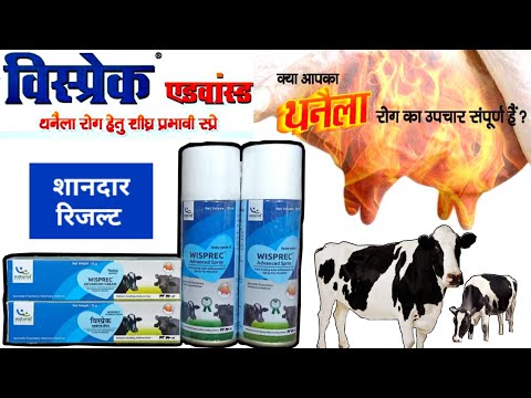 Veterinary Skin Care Ointment - Vet Skin Care Ointment Latest Price ...