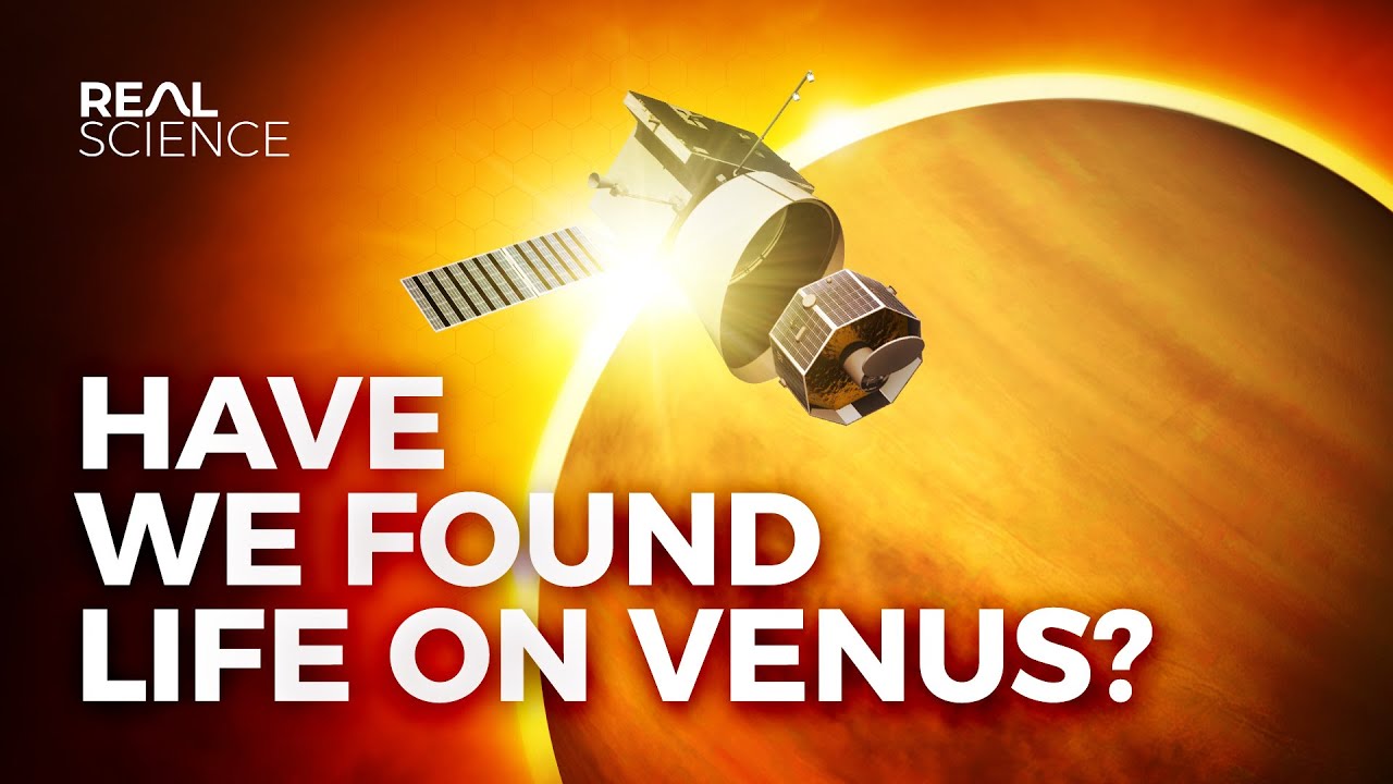 Have We Found Life on Venus?