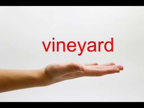 How to Pronounce vineyard - American English