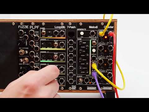 Omnitone Melodi - Semi-Random Sequencer | Reverb