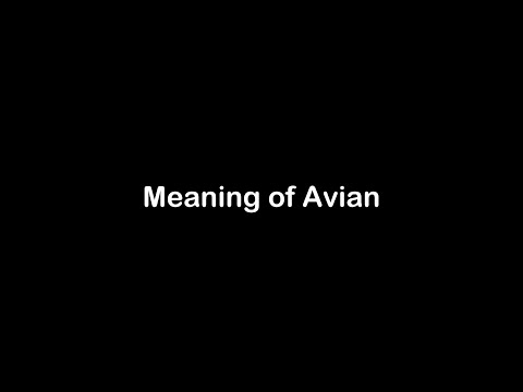 What is the Meaning of Avian | Avian Meaning with Example
