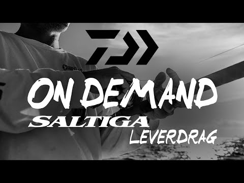 Daiwa Saltiga Lever Drag 2-Speed Trolling/Conventional Reel - Size 40 ...