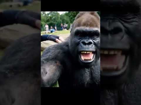 gorilla vs 100 men #fyp #animals #meme #ai #funny #fypage